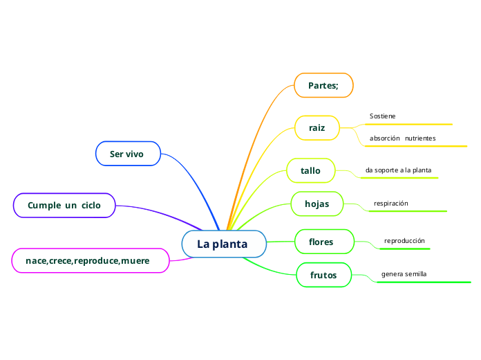 La planta - Mind Map